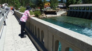 Tahoe’s Fanny Bridge on Short List for Federal Funding - Water ...