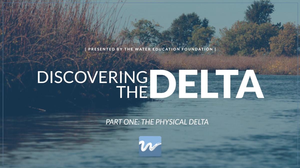 Virtually Explore the Delta; Remembering Bob Johnson; Grab a Spot While ...