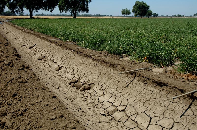 Drought - Water Education Foundation