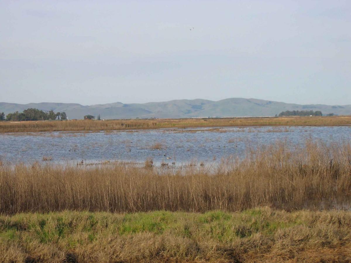 Estuary - Water Education Foundation