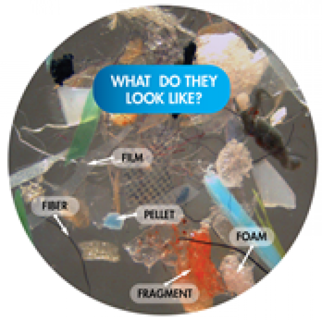 Microplastics - Water Education Foundation Microplastics - Water Education Foundation